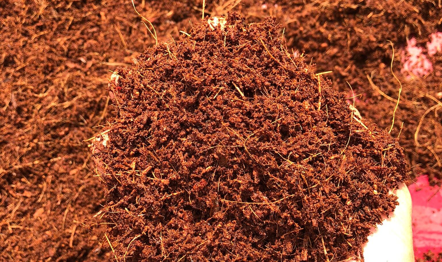 Best Growing Medium for Microgreens – Urban Farming Concepts