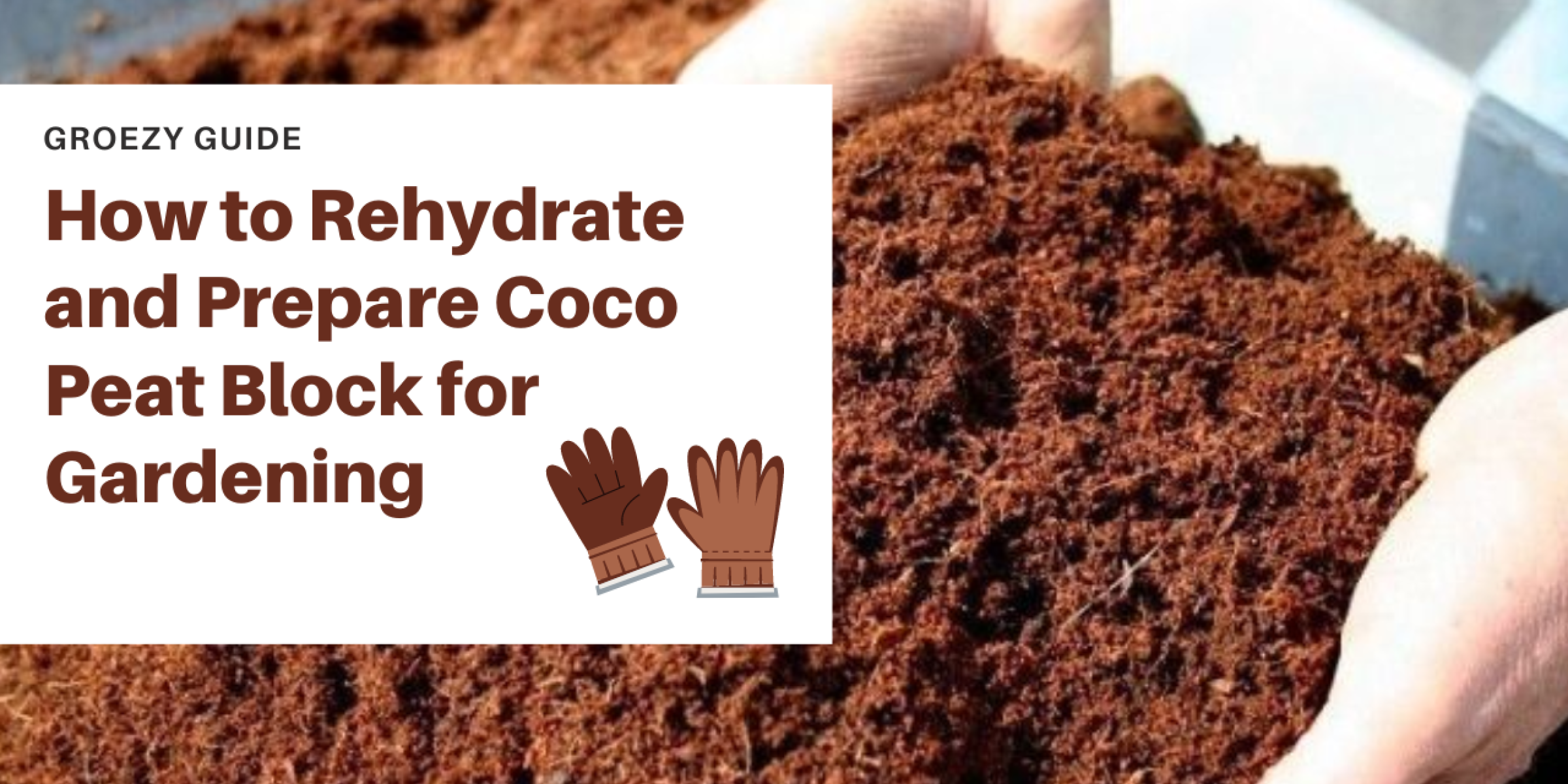 How to Rehydrate and Prepare Coco Peat Block for Gardening – Urban ...